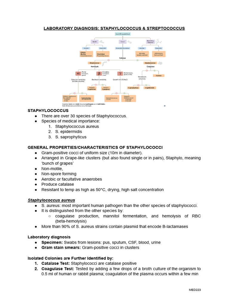 LABORATORY DIAGNOSIS_ STAPHYLOCOCCUS & STREPTOCOCCUS (revised) | PDF