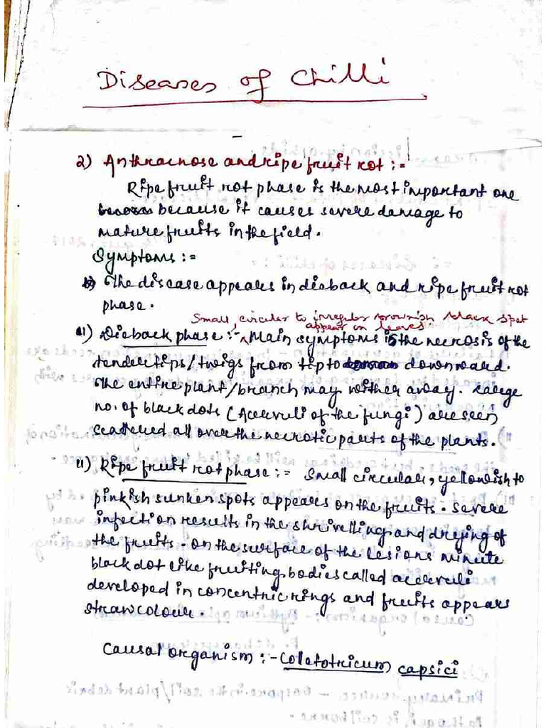 Diseases of Chili | PDF