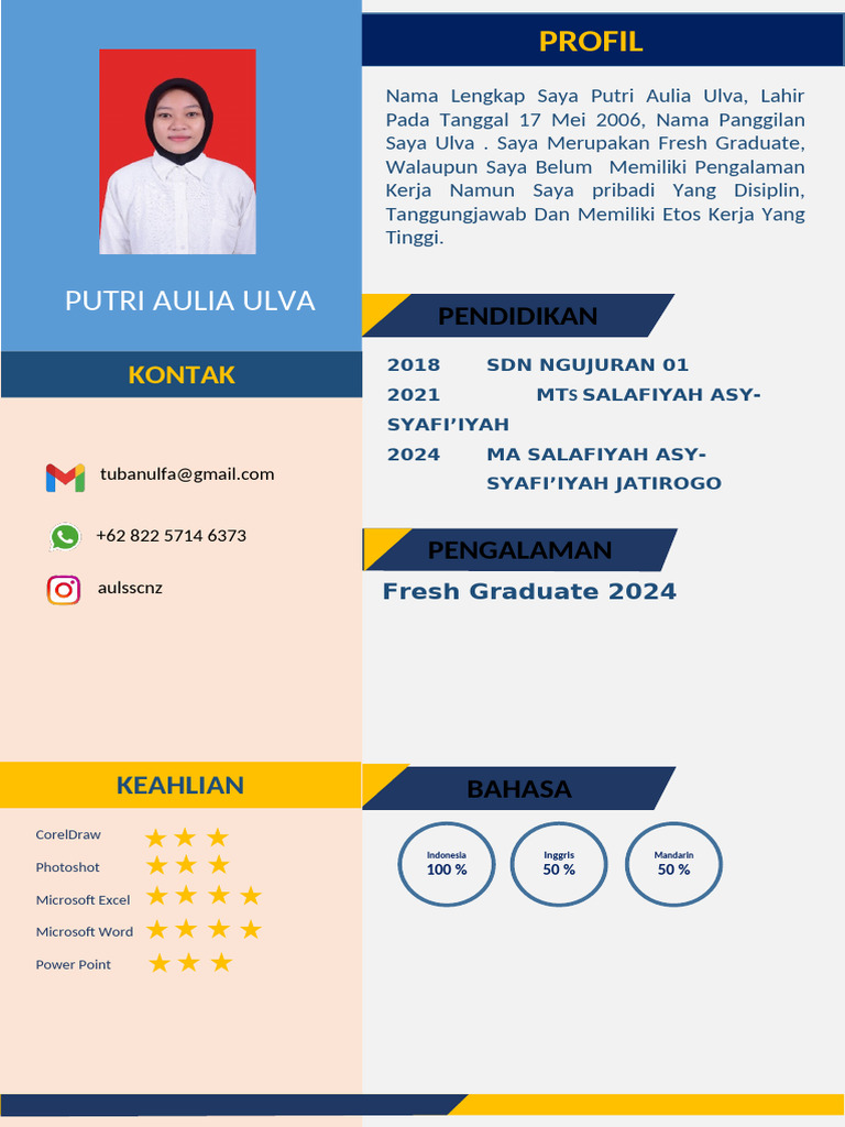 CV P Aulia Ulva | PDF