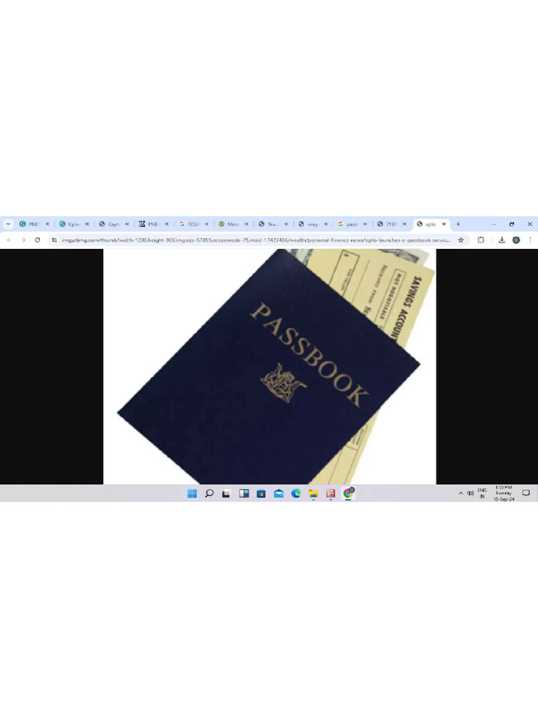 This Is Passport | PDF