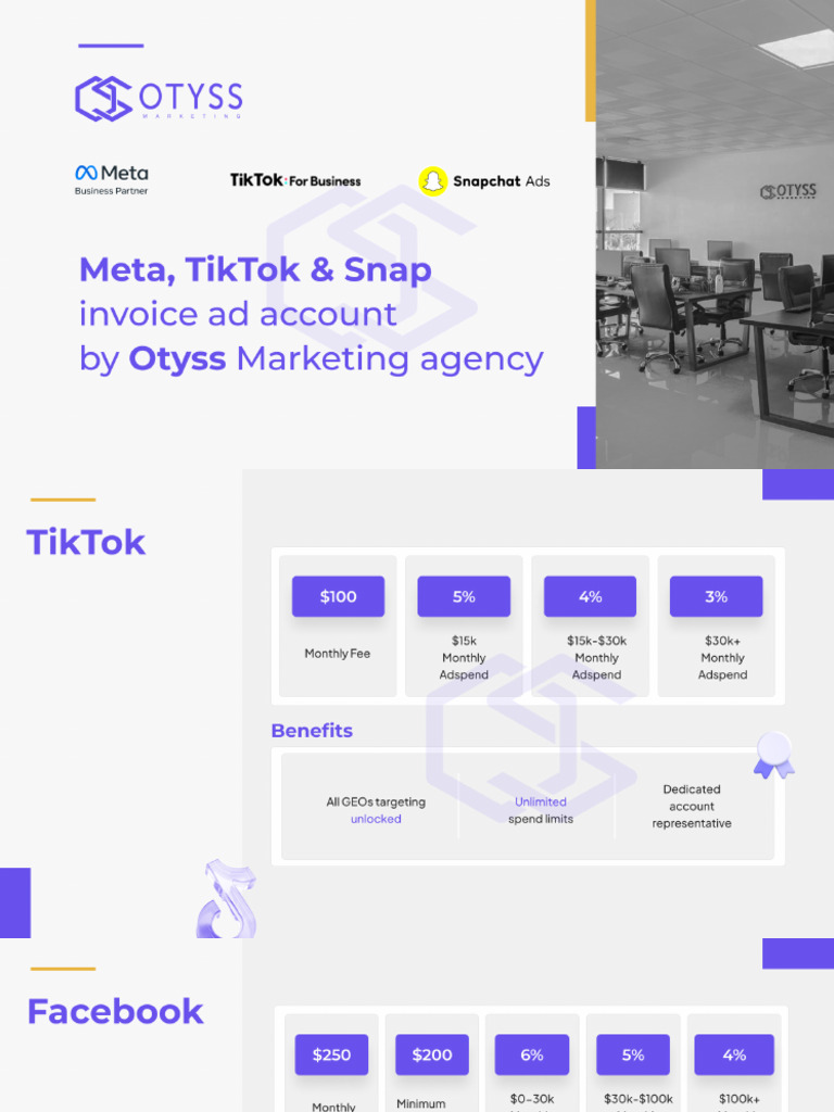 Meta, TK & Snap Invoice | PDF
