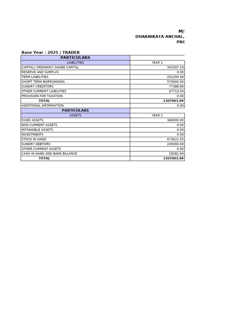 Balance Sheet | PDF