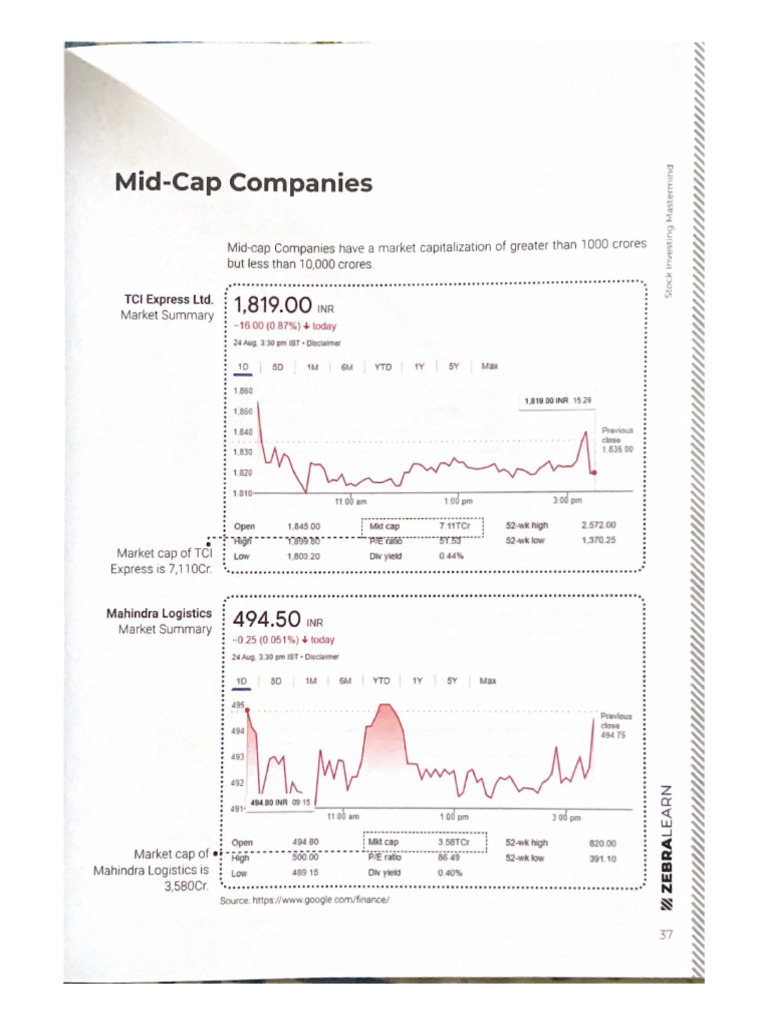 Mid Cap Companies | PDF