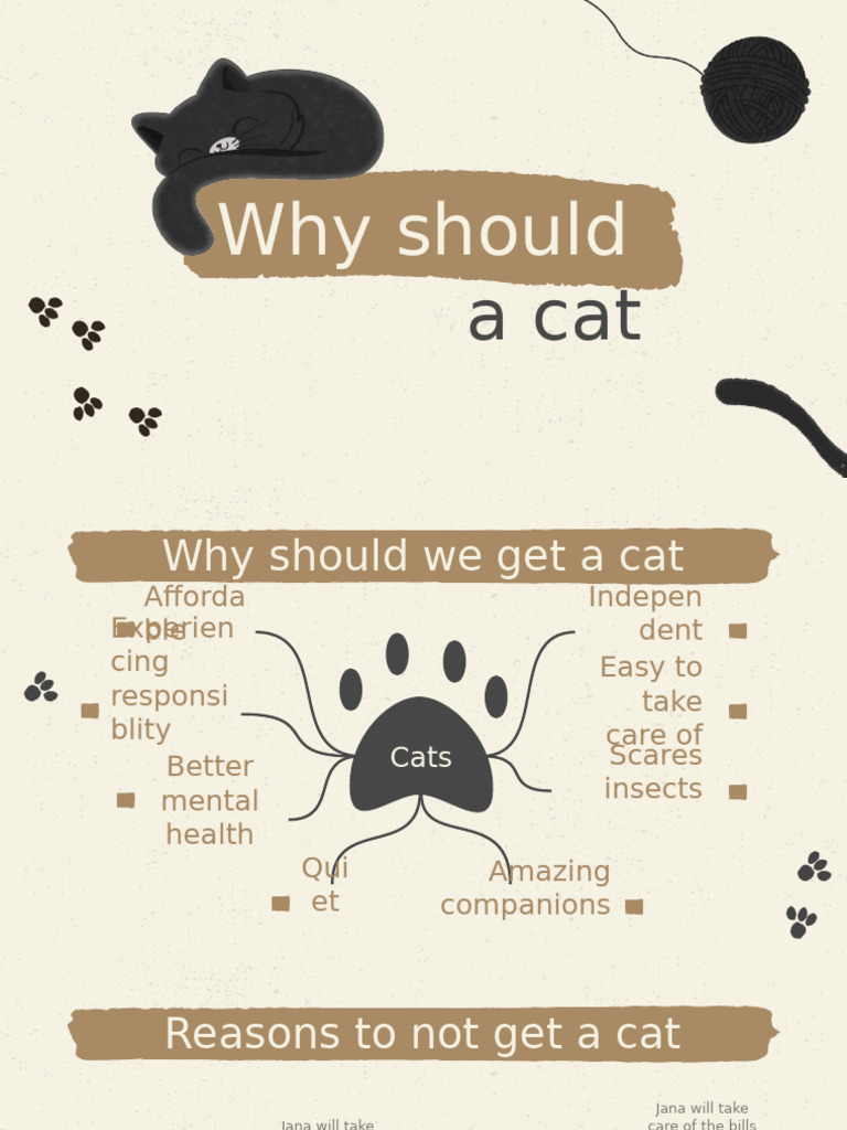 Cats | PDF