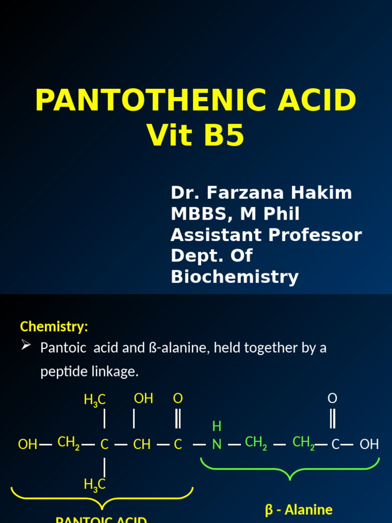 Vit B5 20203 | PDF