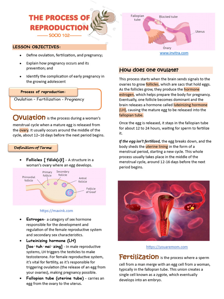 The Process of Reproduction | PDF