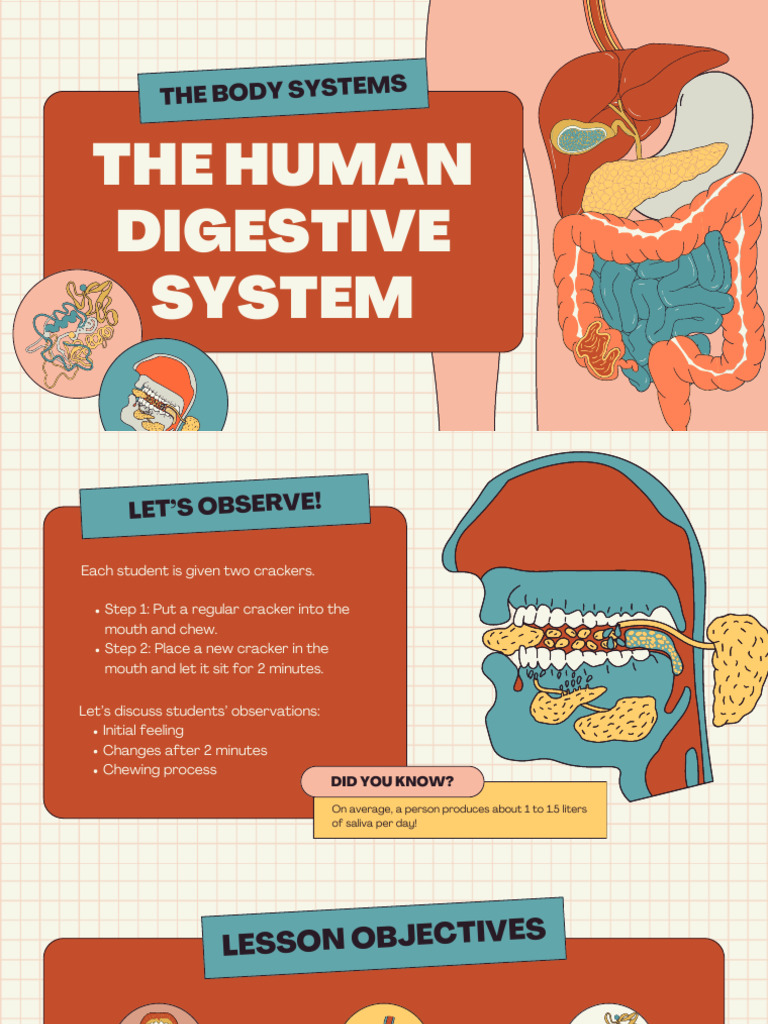 The Digestive System Science Educational Presentation in Dark Orange ...