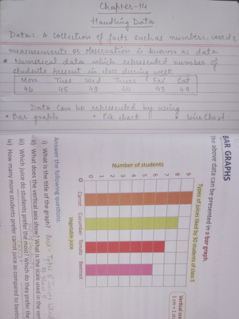 Chapter 14 Data Handling | PDF