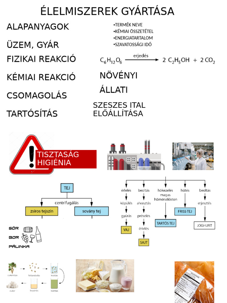 Élelmiszerek Gyártása | PDF