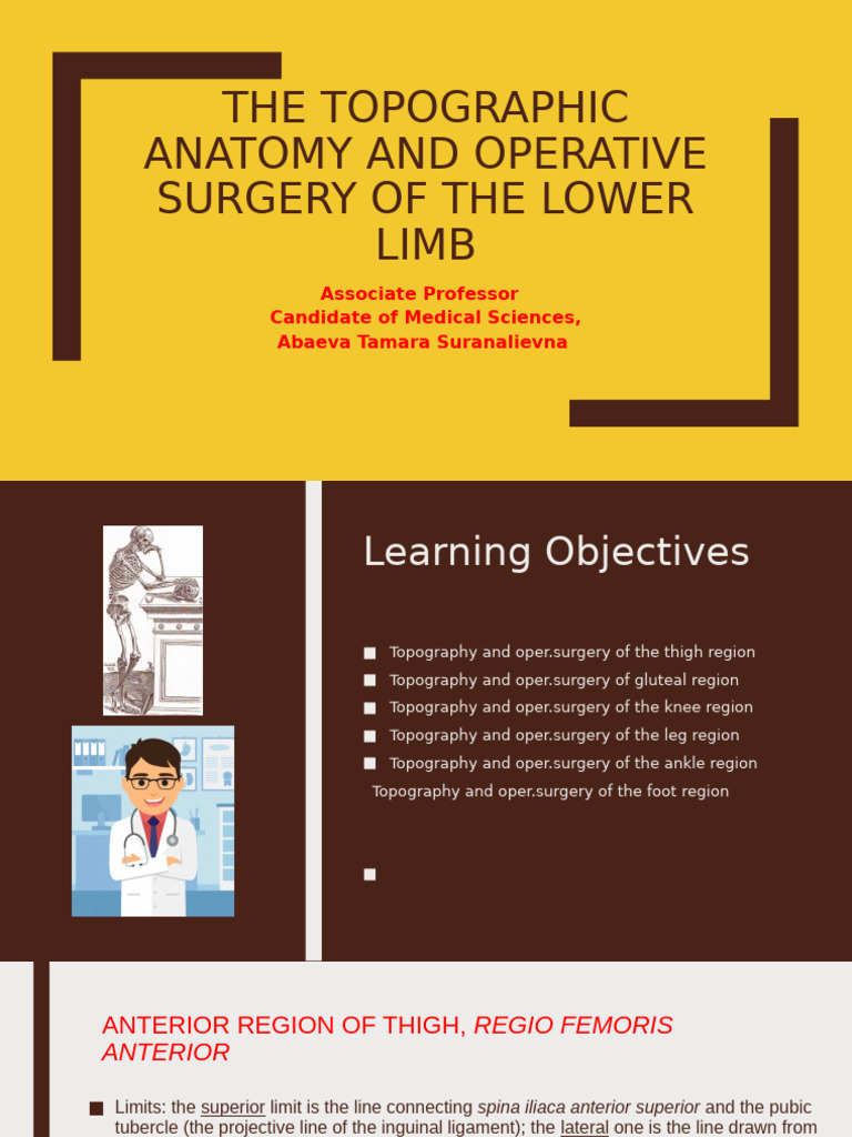 The Top.anatomy and Operative Surgery Lower Limb | PDF