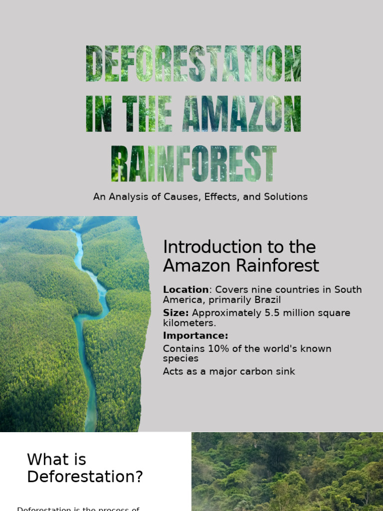 Geography Holiday Homework | PDF