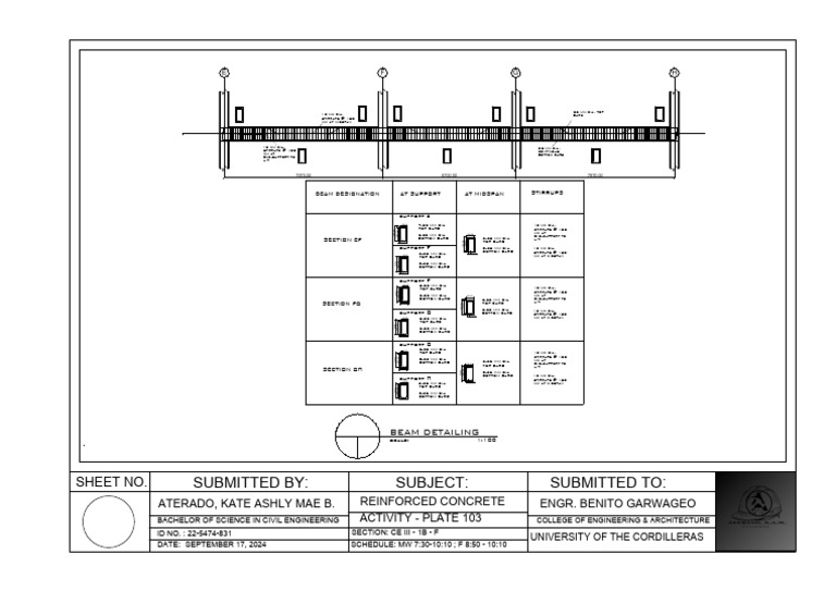 Beam Details Pdf