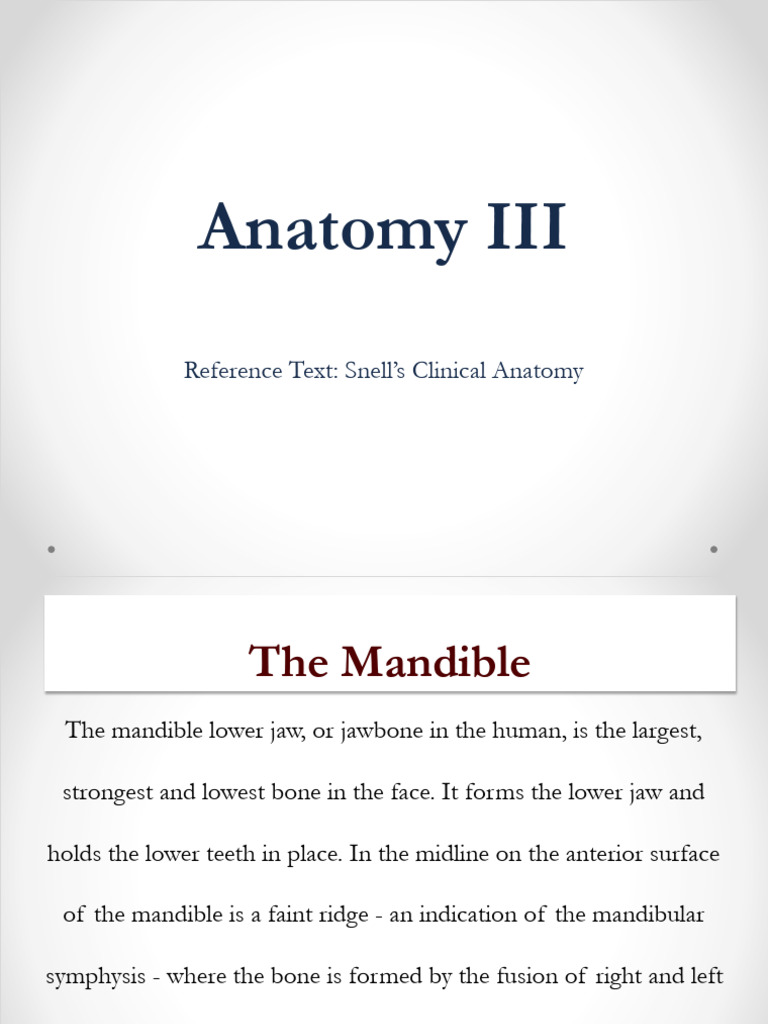 Mandible Bone Anatomy | PDF