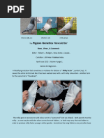 Pigeon Color Genetics and Breeding Chart | PDF | Dominance (Genetics ...