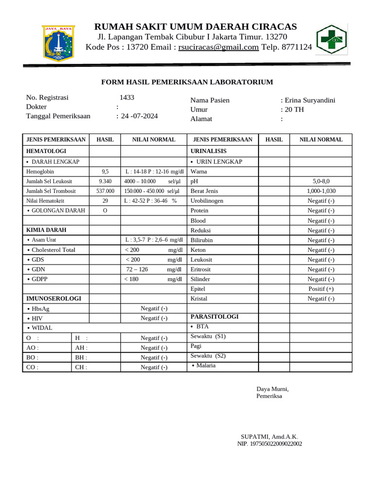Form Hasil Pemeriksaan Laboratorium 012048 PM - 47cc90 | PDF