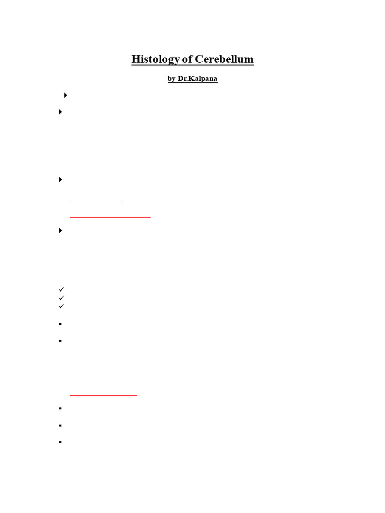 Cerebellum - Histology - Notes | PDF