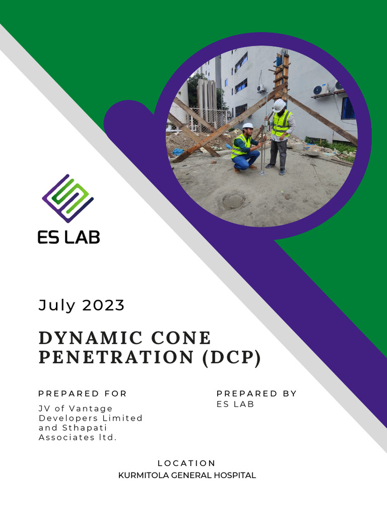 Main Report (DCP) | PDF