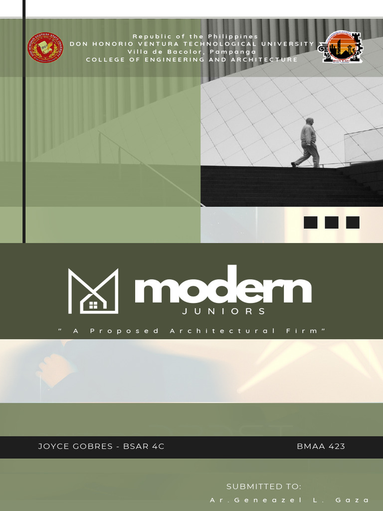 BMAA | PDF