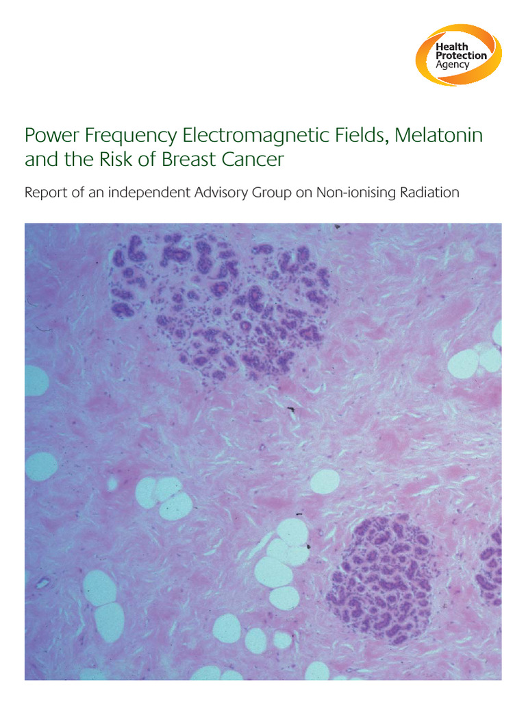 RCE-1 Power Frequency Electromagnetic Fields Melatonin and The Risk of Breast Cancer | PDF