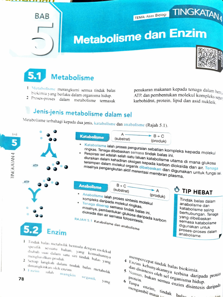 Chapter 5 | PDF | Life Sciences | Macromolecules