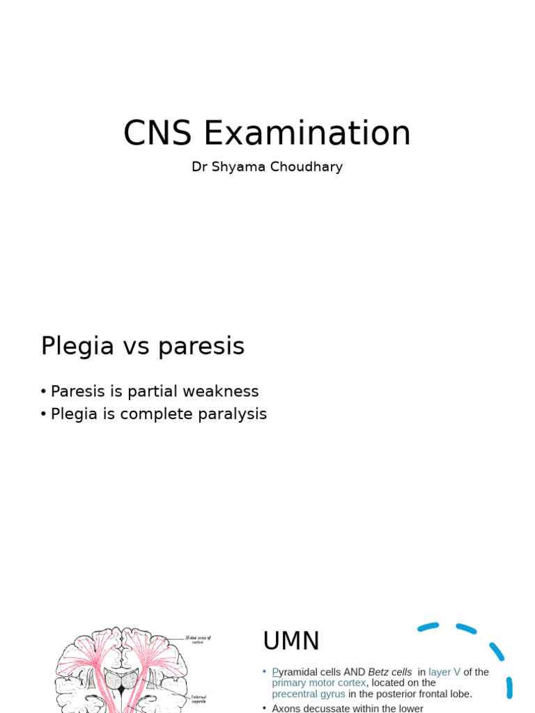 CNS Examination | PDF