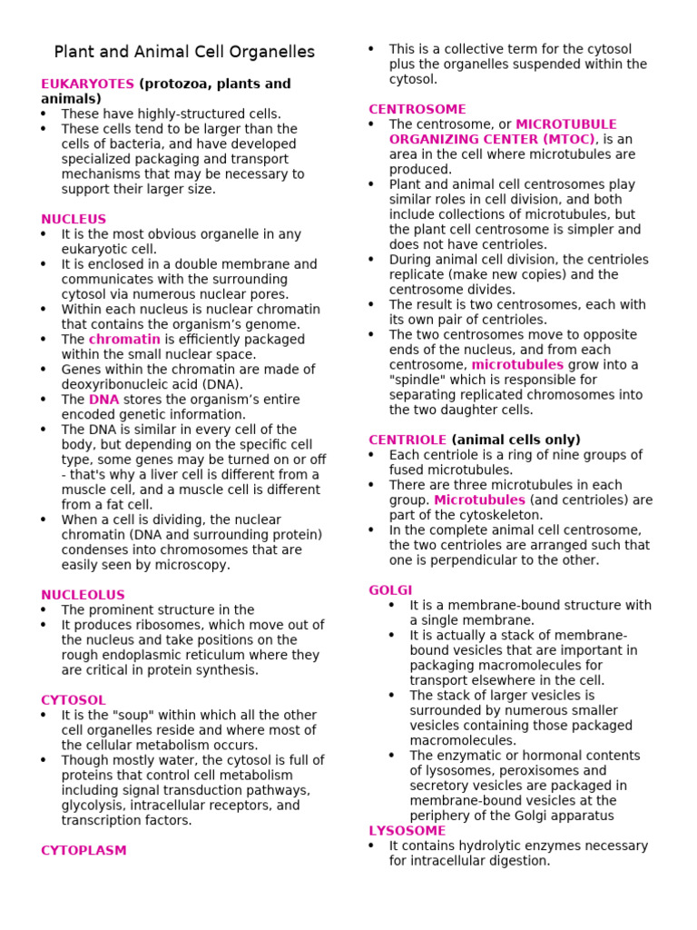 Plant and Animal Cell Organelles | PDF | Cell (Biology) | Home & Garden