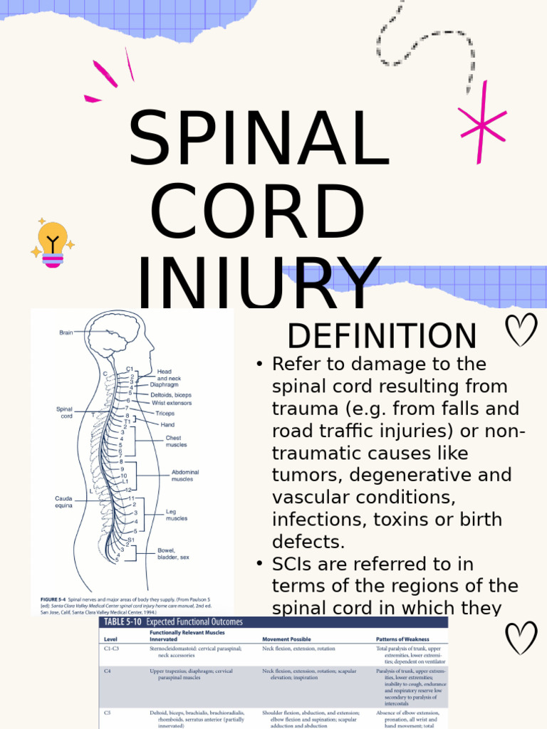 Spinal Cord Injury | PDF