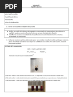 Práctica Principio de Le Chatelier | PDF