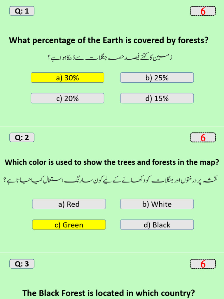 Major Forest | PDF