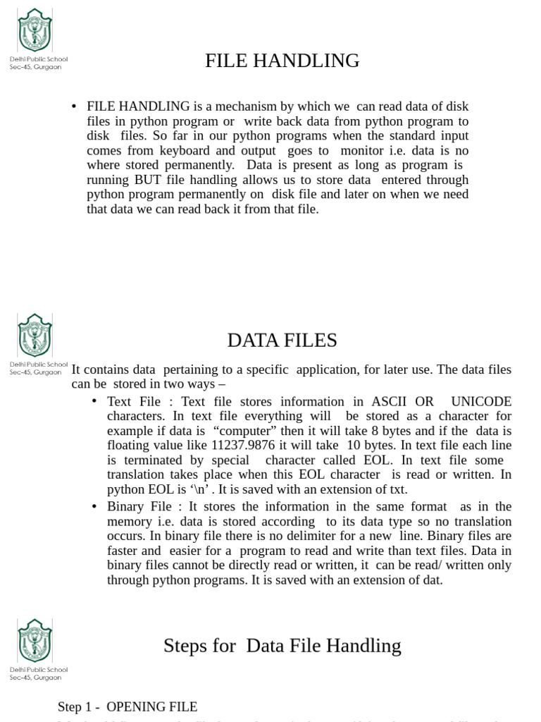 File Handling | PDF