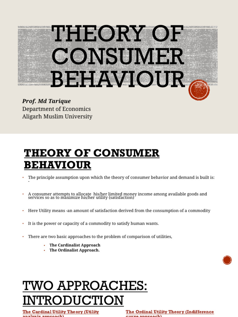 Theory of Consumer Behaviour-A Brief Revision | PDF