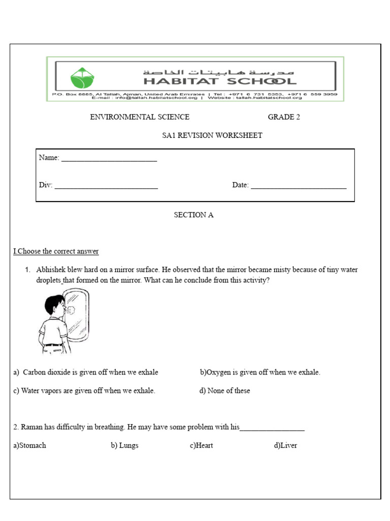 Grade 2 Environmental Science Worksheet | PDF | Plants | Stoma
