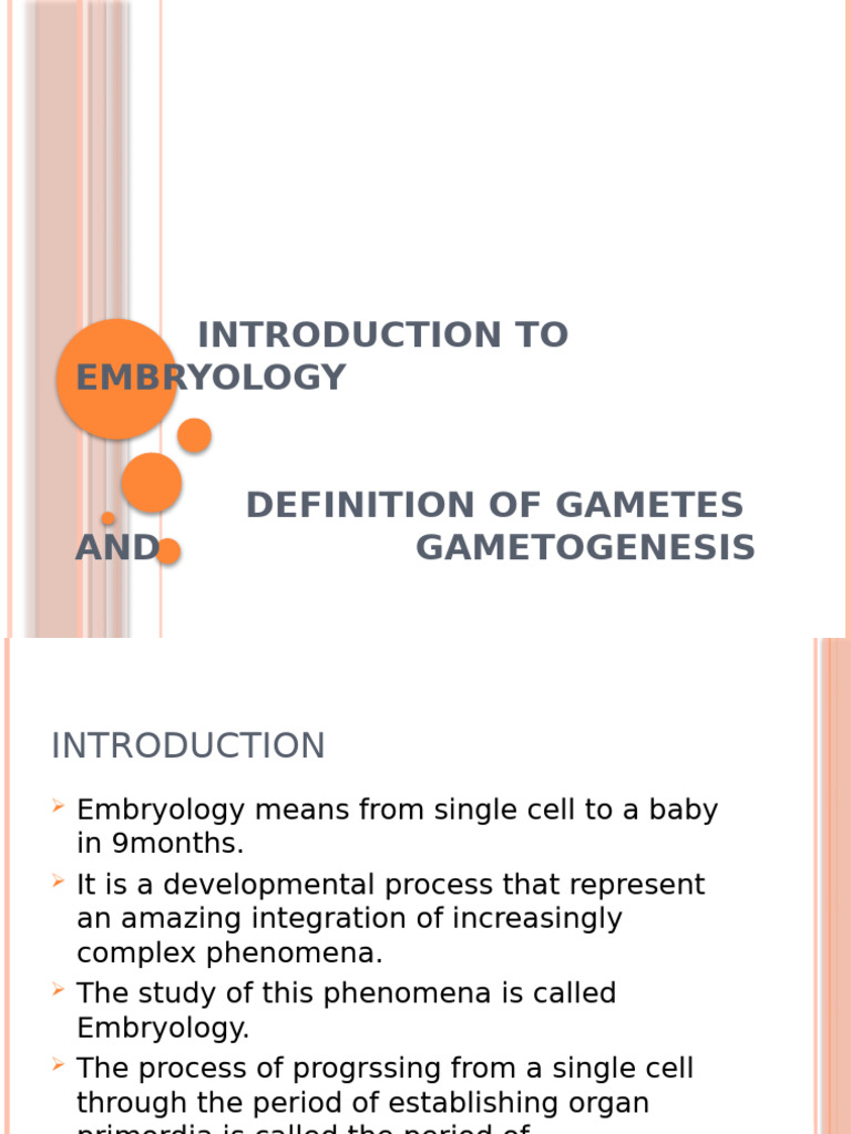Introduction To Embryology | PDF