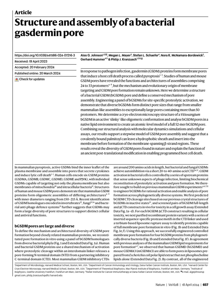 Structure and Assembly of A Bacterial Gasdermin Pore: Article | PDF