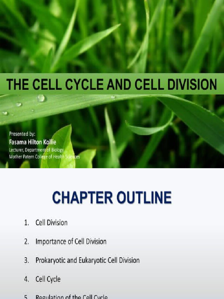 Cell Cycle | PDF