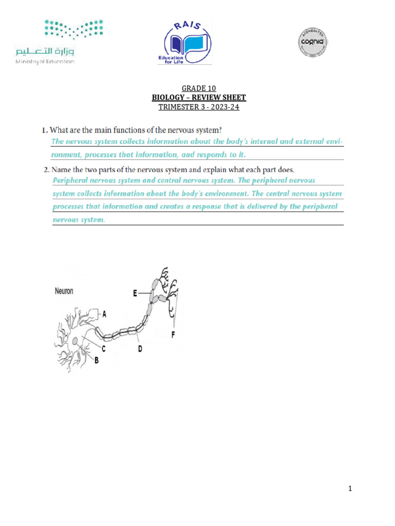 Grade 10 - Biology - Review Sheet - Ans - Trimester3 | PDF