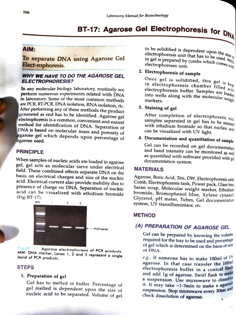 Agarose Gel | PDF | Agarose Gel Electrophoresis | Gel Electrophoresis