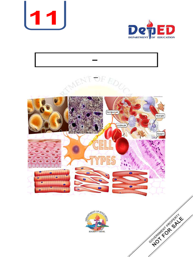 bio 1 module 4 | PDF
