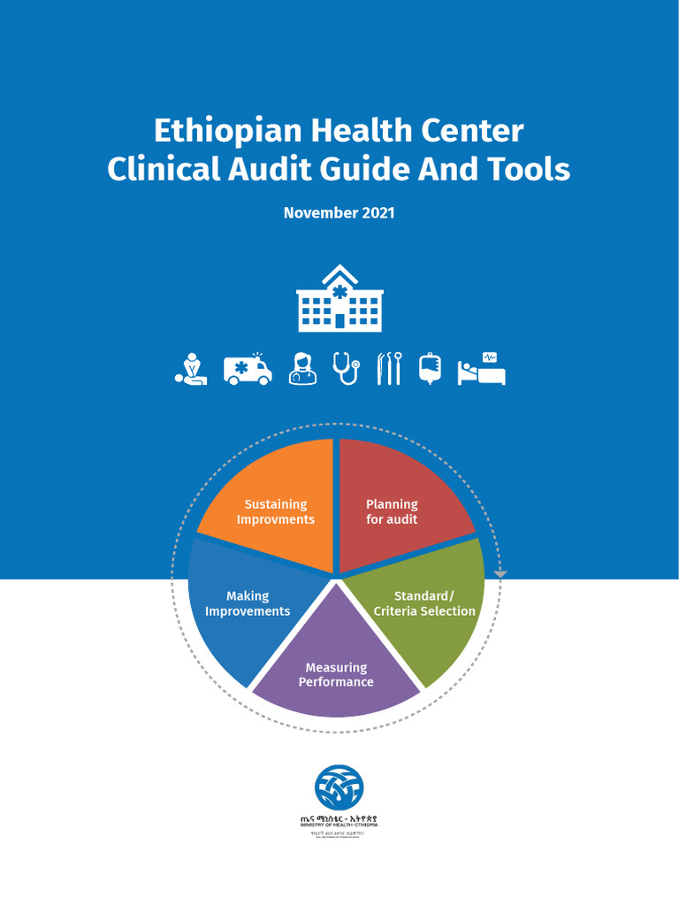Clinical Audit Minstory Health | PDF