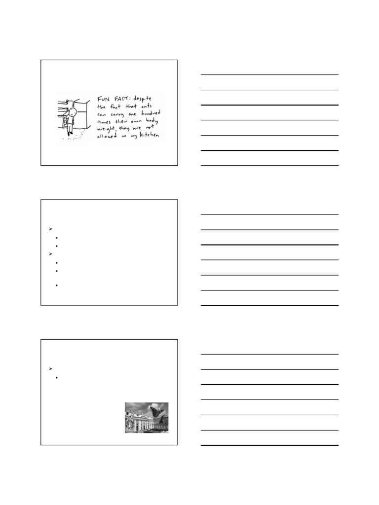 Week5 Day4 3per | PDF