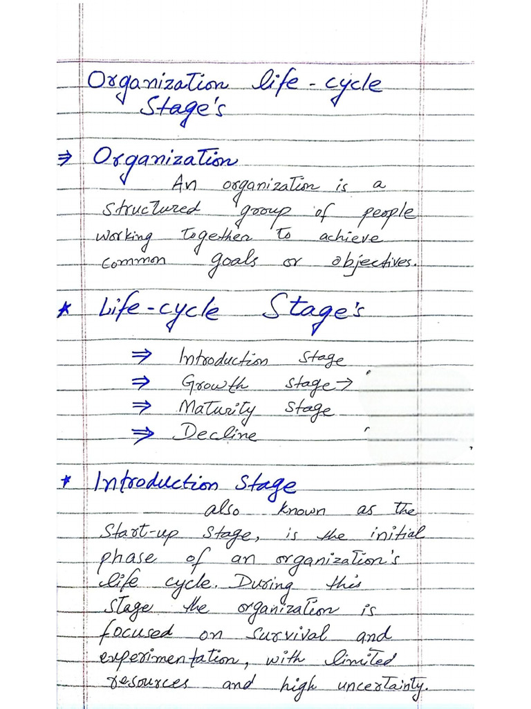 Organization Life Cycle | PDF