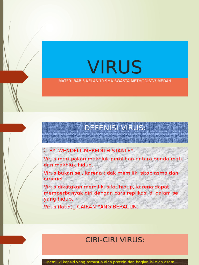 VIRUS | PDF