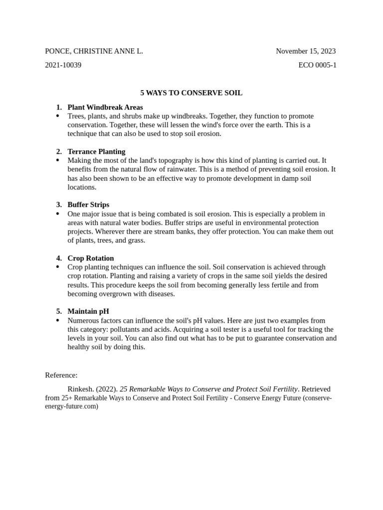 PONCE ECO Assignment 2 | PDF