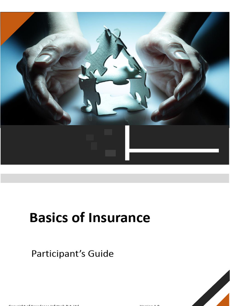 Participants Guide - Basics of Insurance 1 | PDF