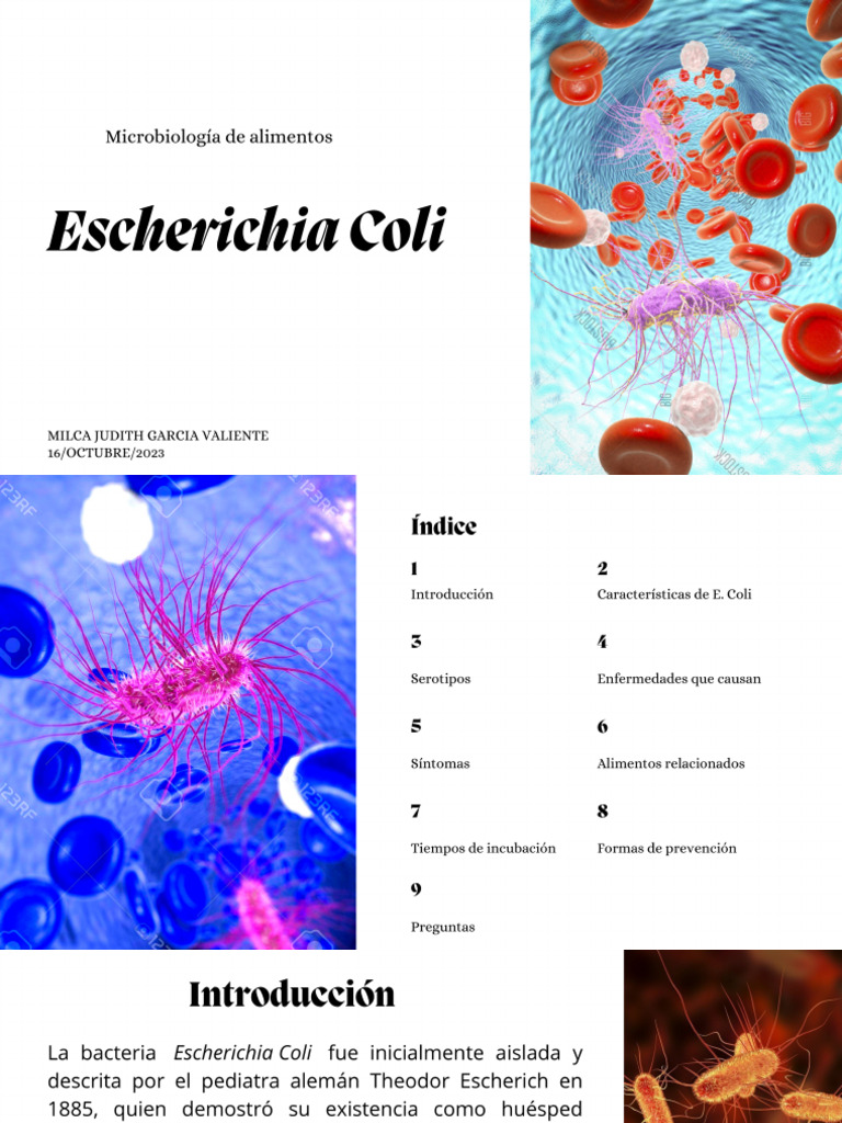 E. Coli | PDF