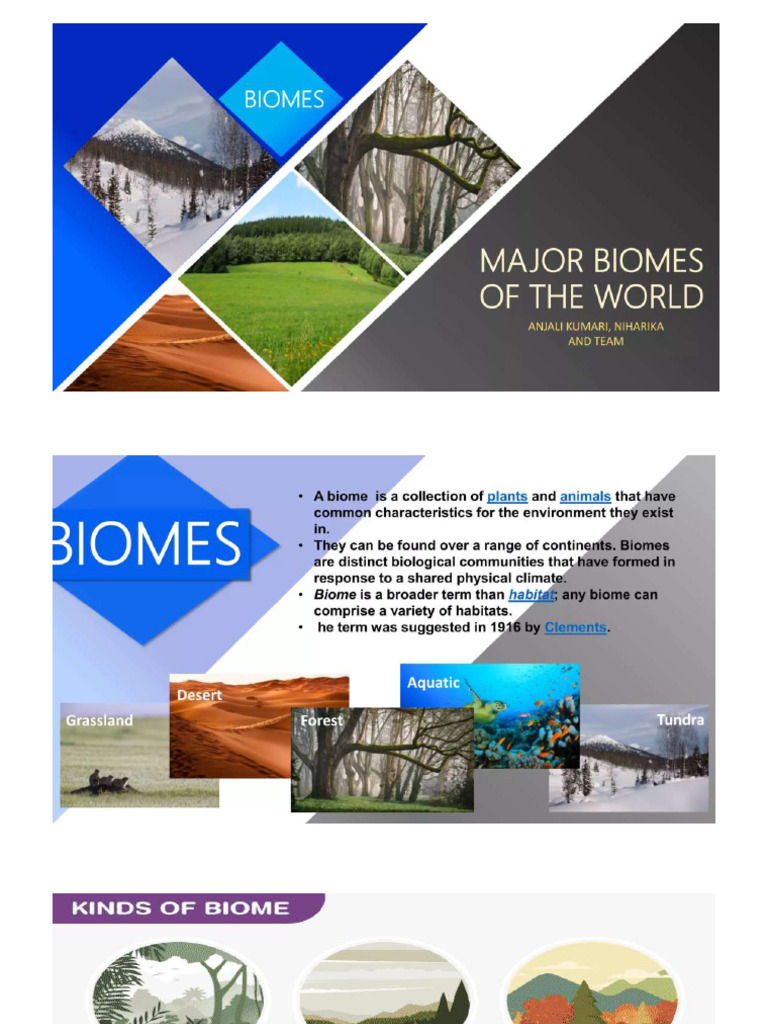 Biomes (Autosaved) | PDF