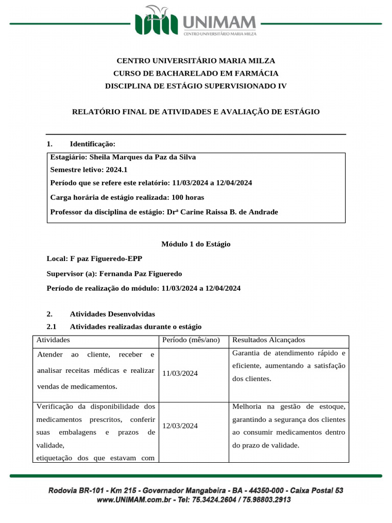 Modelo de Relatório - Pronto | PDF