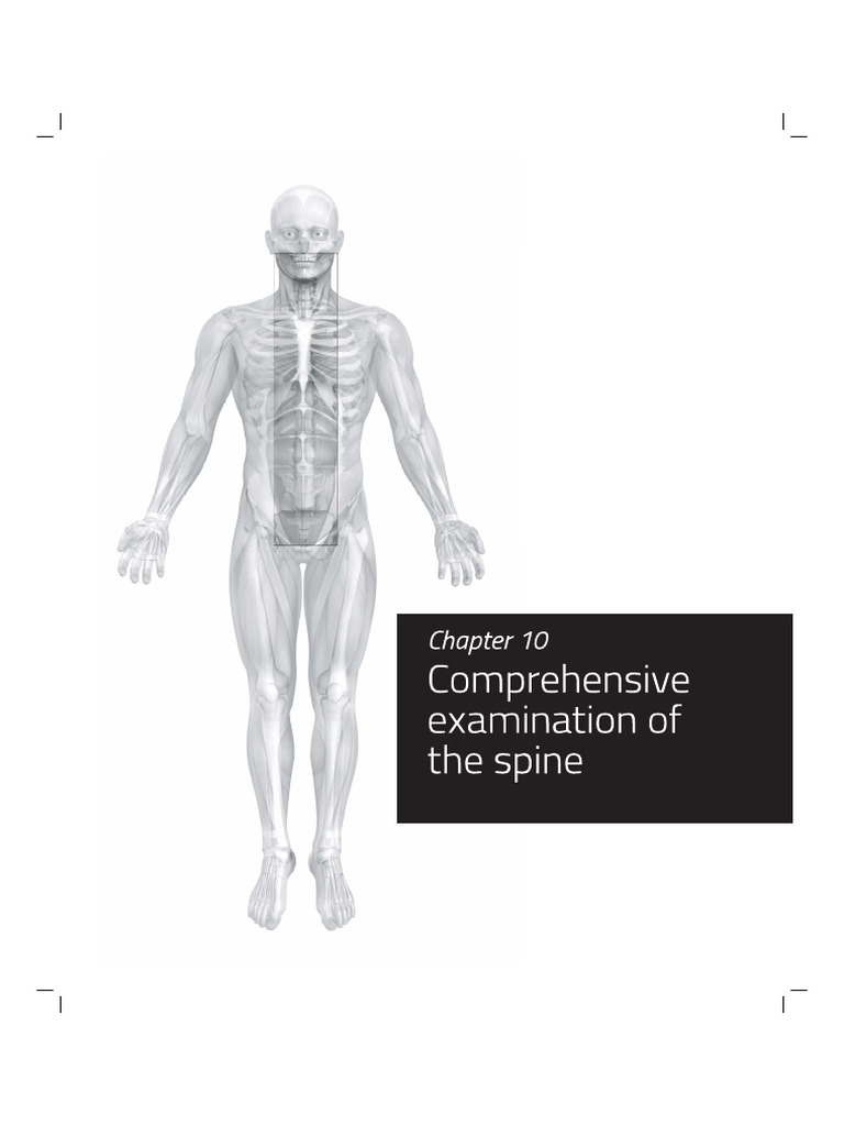 Structural Visual Diagnostic | PDF