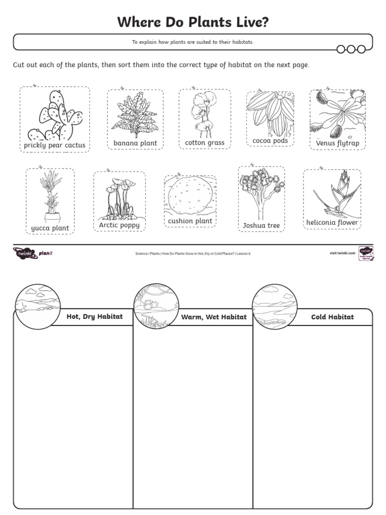 Activity Sheet Where Do Plants Live Black and White | PDF