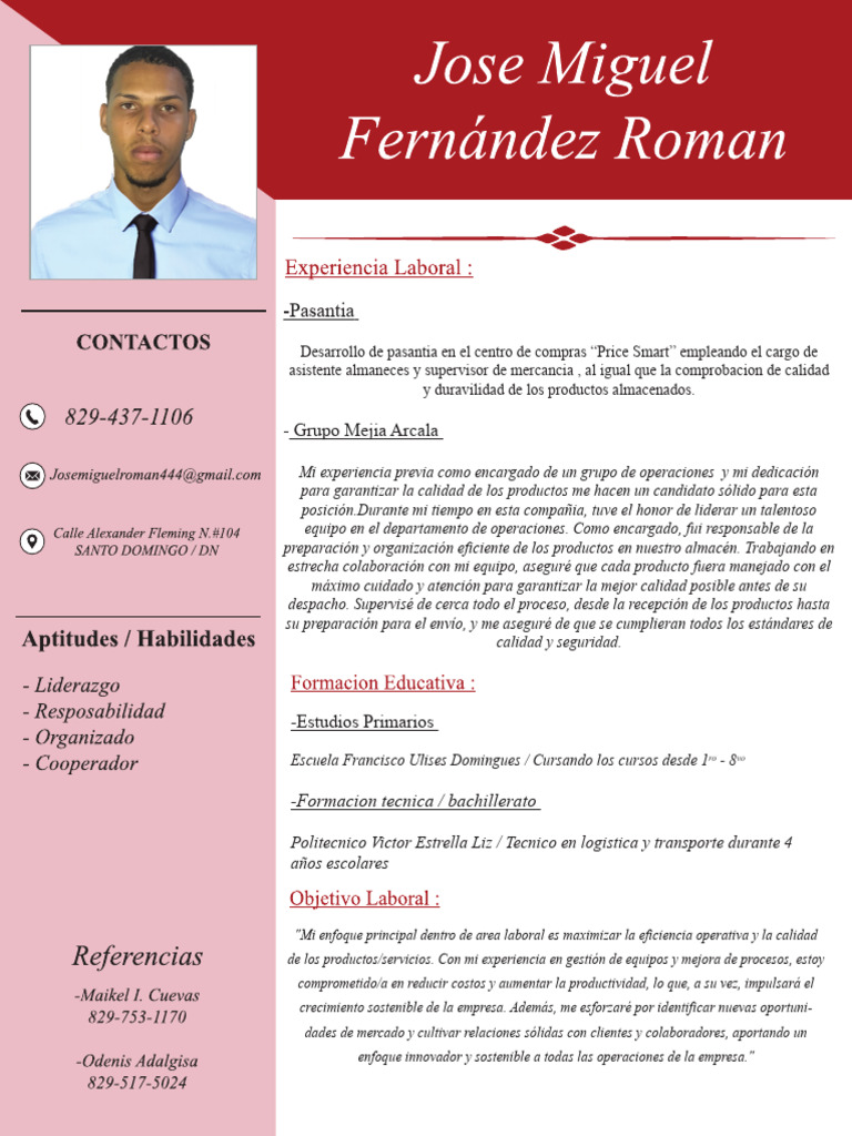 Cv Jose Miguel Fernandez Roman | PDF